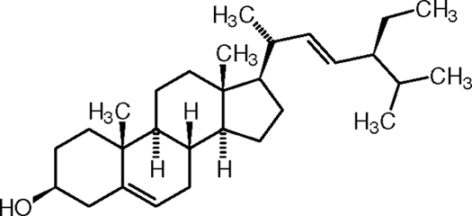 Puput Desmika AQueeno Icha Blog