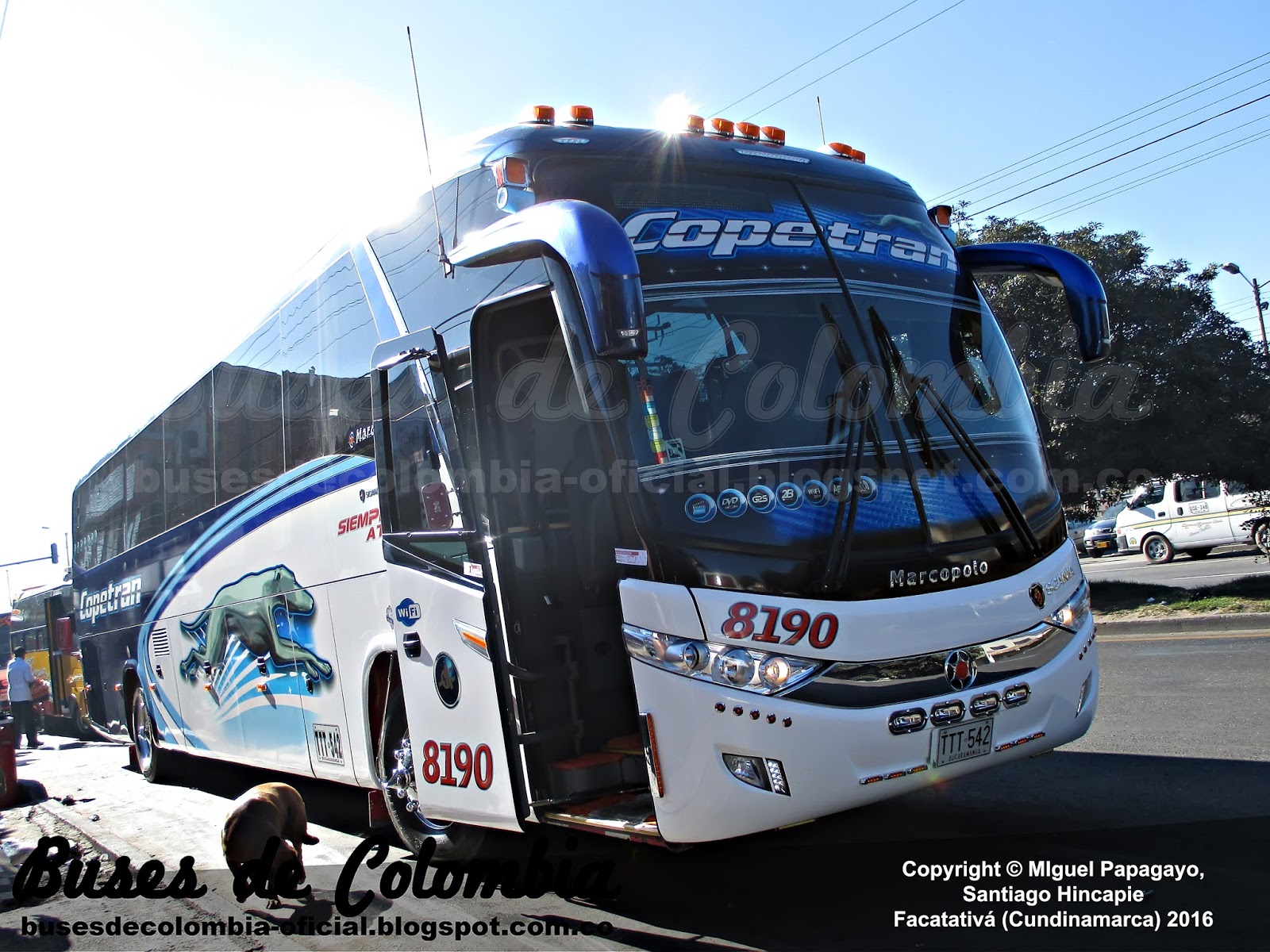 Copetran 8190
