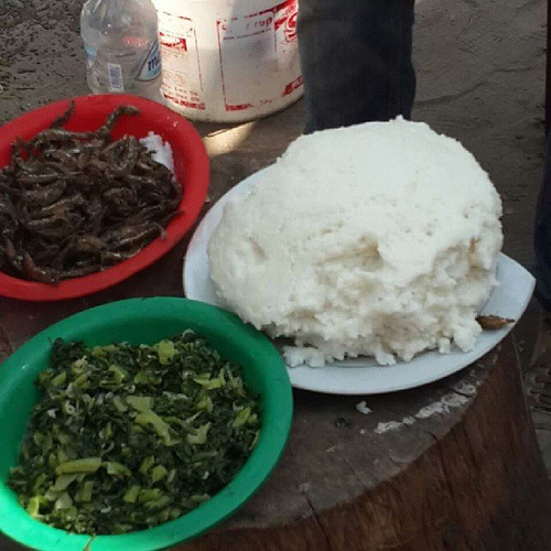 MAISHA NA MAFANIKIO: CHAGUO LAKO UGALI KWA CHAINIZI NA DAGAA AU MLANDE ...