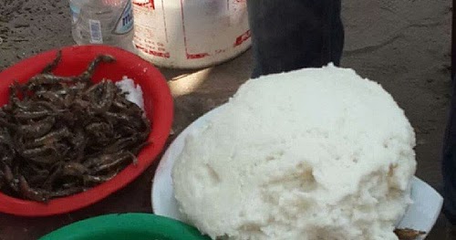 MAISHA NA MAFANIKIO: CHAGUO LAKO UGALI KWA CHAINIZI NA DAGAA AU MLANDE ...