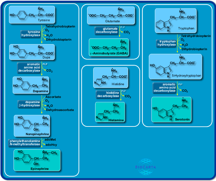 Biochemistry World