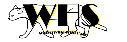 Nachoooooooooooooooooooooooooooooooooooooooooooooooooooooo