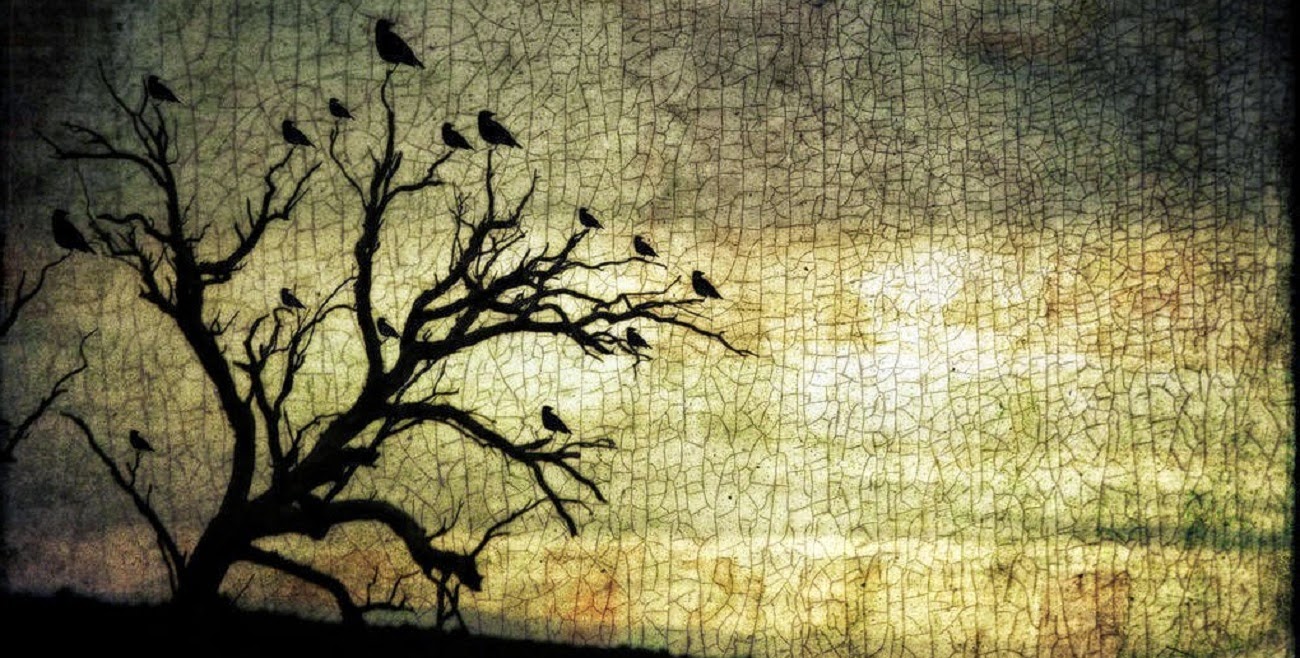 Discussing Peripety and Plot in Macbeth: