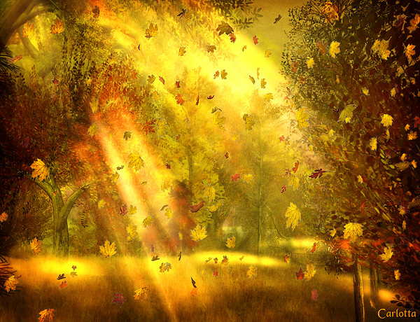 Autumn Lights Picture: Autumn Magic