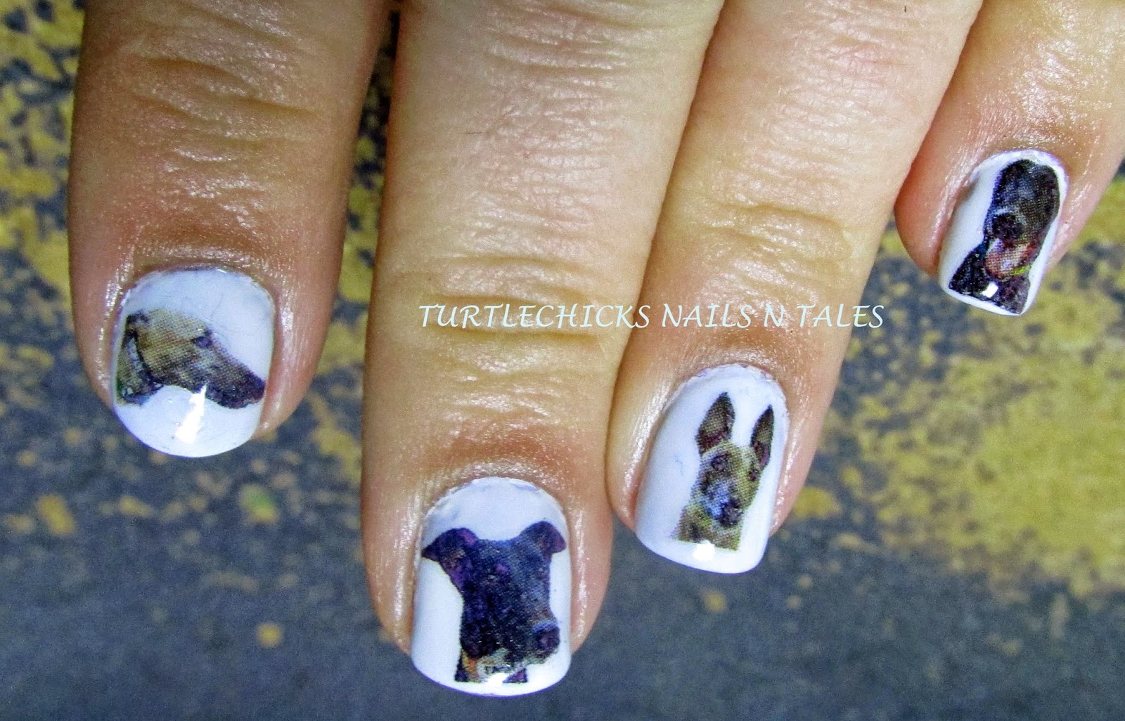 Turtlechick's Nails N Tales: Greyhound Mani