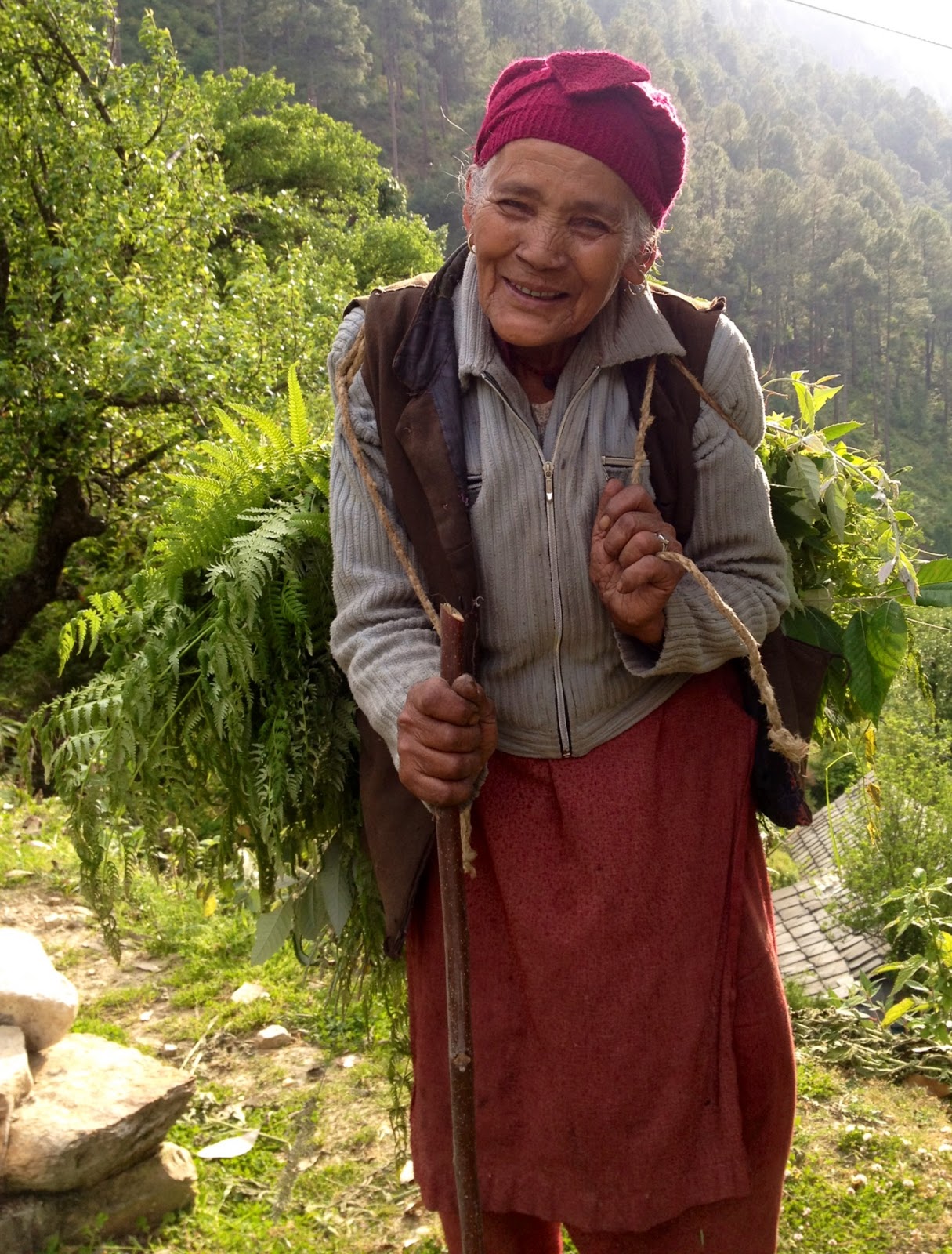 Let Live Travel | Voluntourism Travel Adventure in India