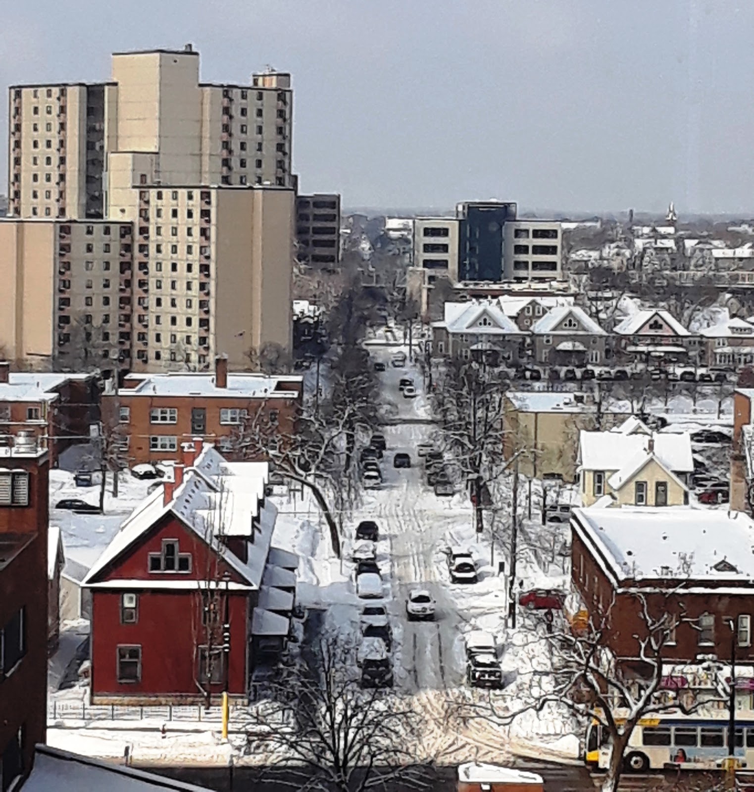 The Wild Reed: In Minneapolis, a Snowy February Friday