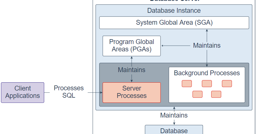 Database Instance - OracleOcean