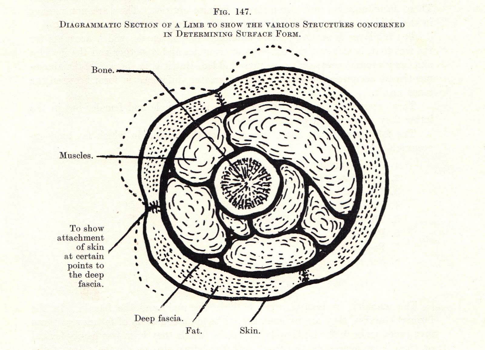 Foundation Figure: March 2012
