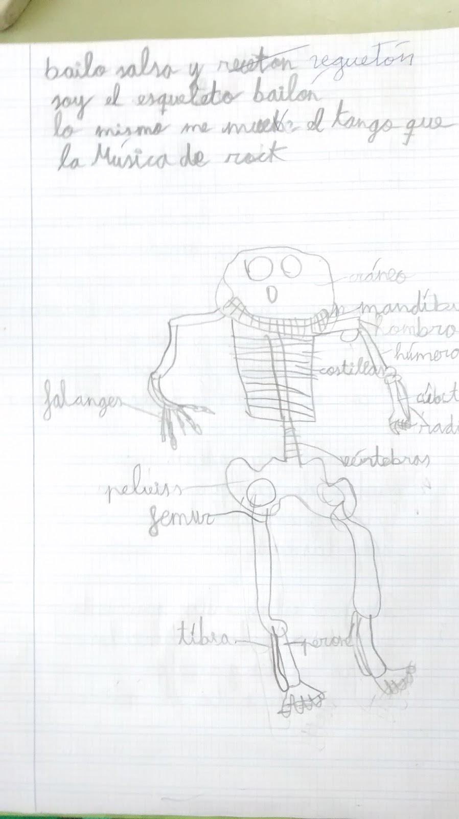 LA CLASE DE CRISTINA: El esqueleto