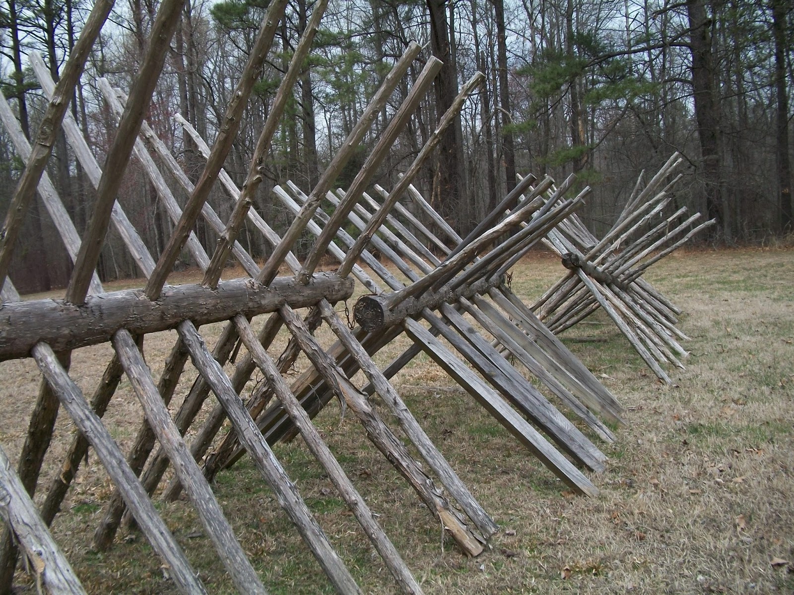 Following Ferd's Footsteps