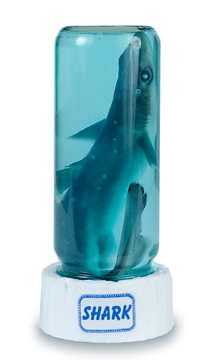 My Life as Jar: Creatures in a Jar