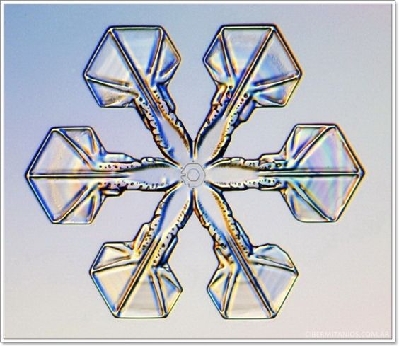 Heraldry of Life: ART with REAL SNOWFLAKES