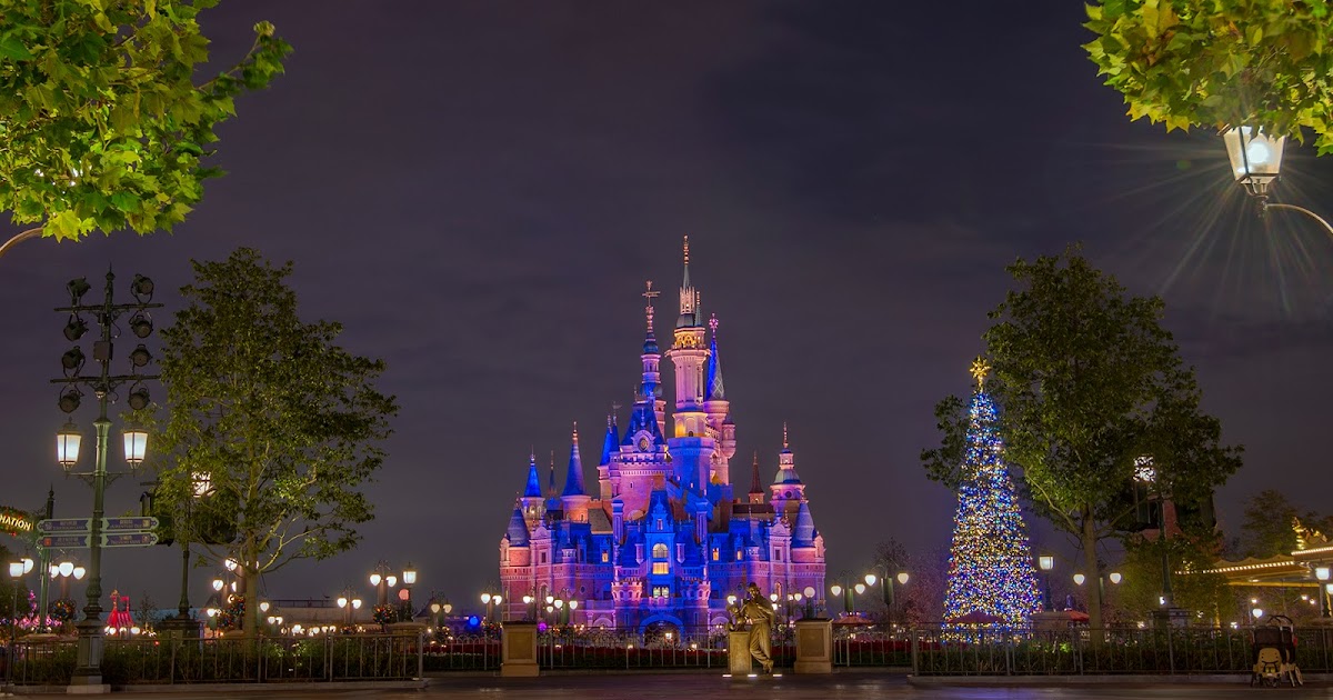 Disney Photoblography