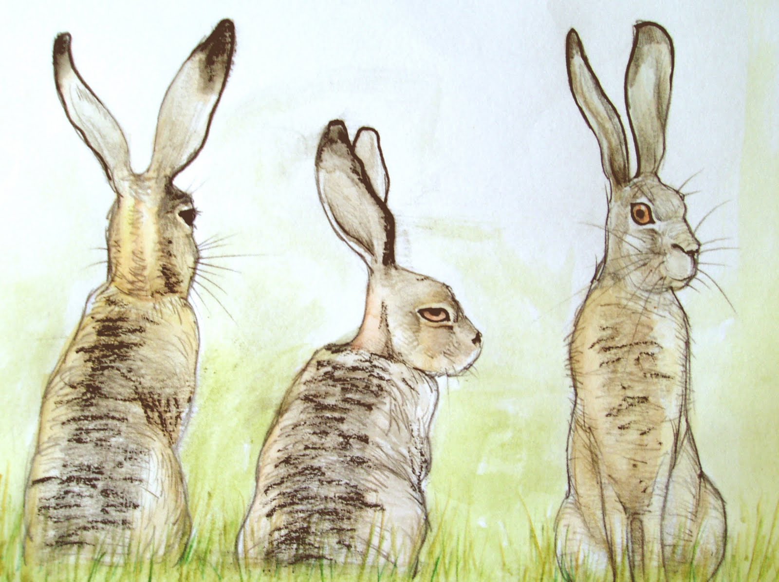 Spencer Noel McIntosh Designs and Illustrations