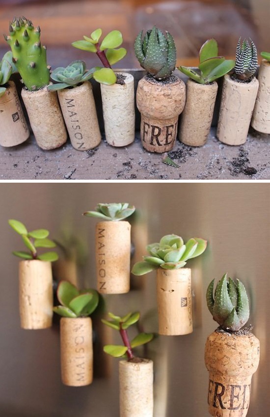 DIY : Turn Old Wine Corks Into Succulent Planters - Diy And Crafts