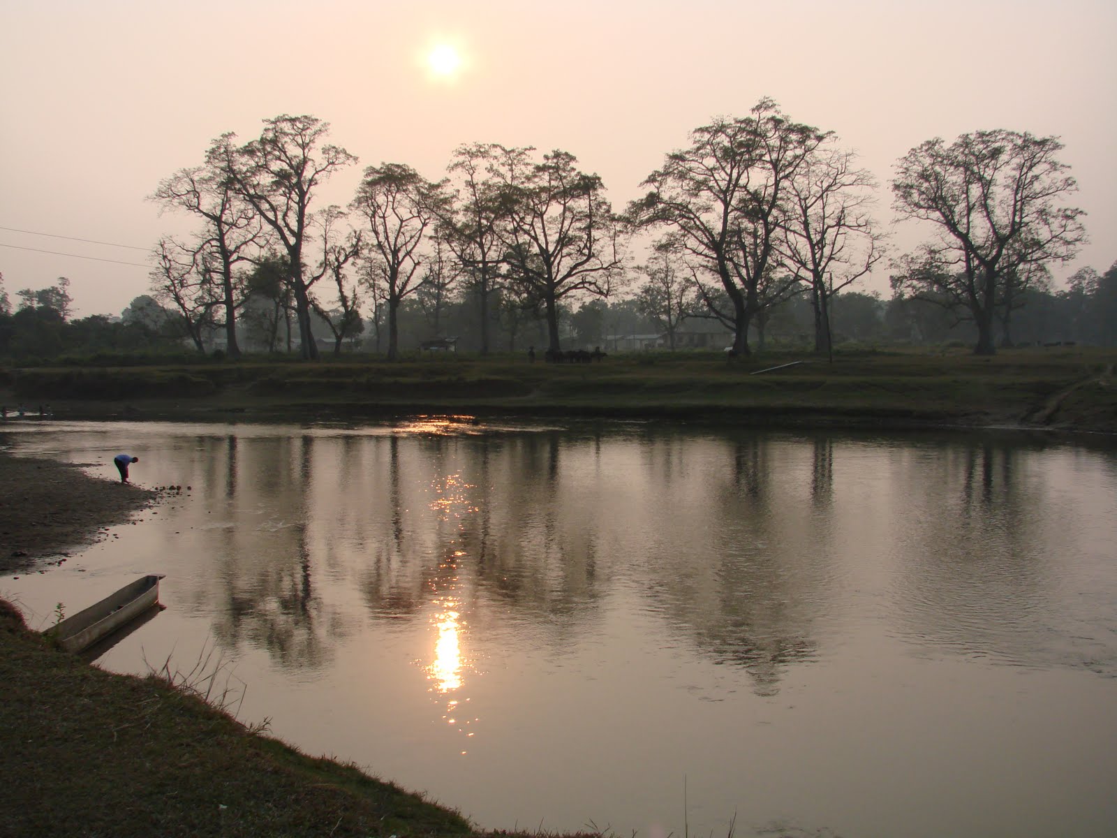 Chitra Ramaswamy's Travelogue: Chitwan: Symphony of the Jungle