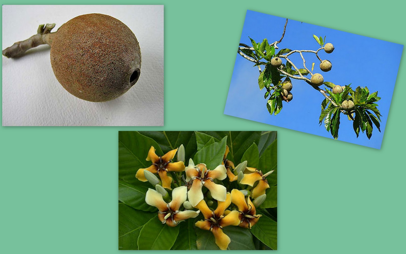 Eva Rodríguez Braña: Kuna Yala, el archipiélago de San Blas. Panamá