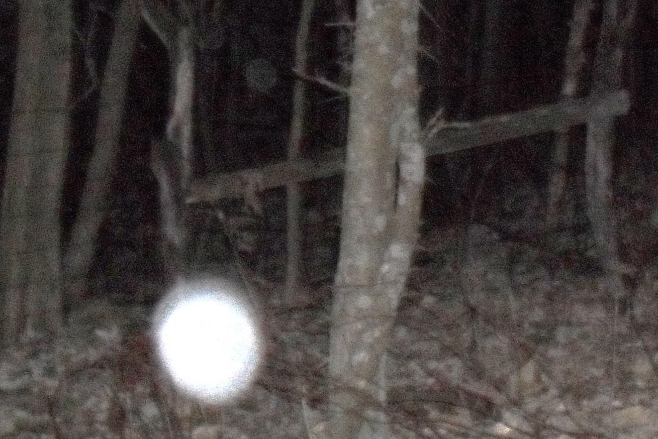 Cee's Ghost Hunting Paranormal: Skiddy Kansas Investigation