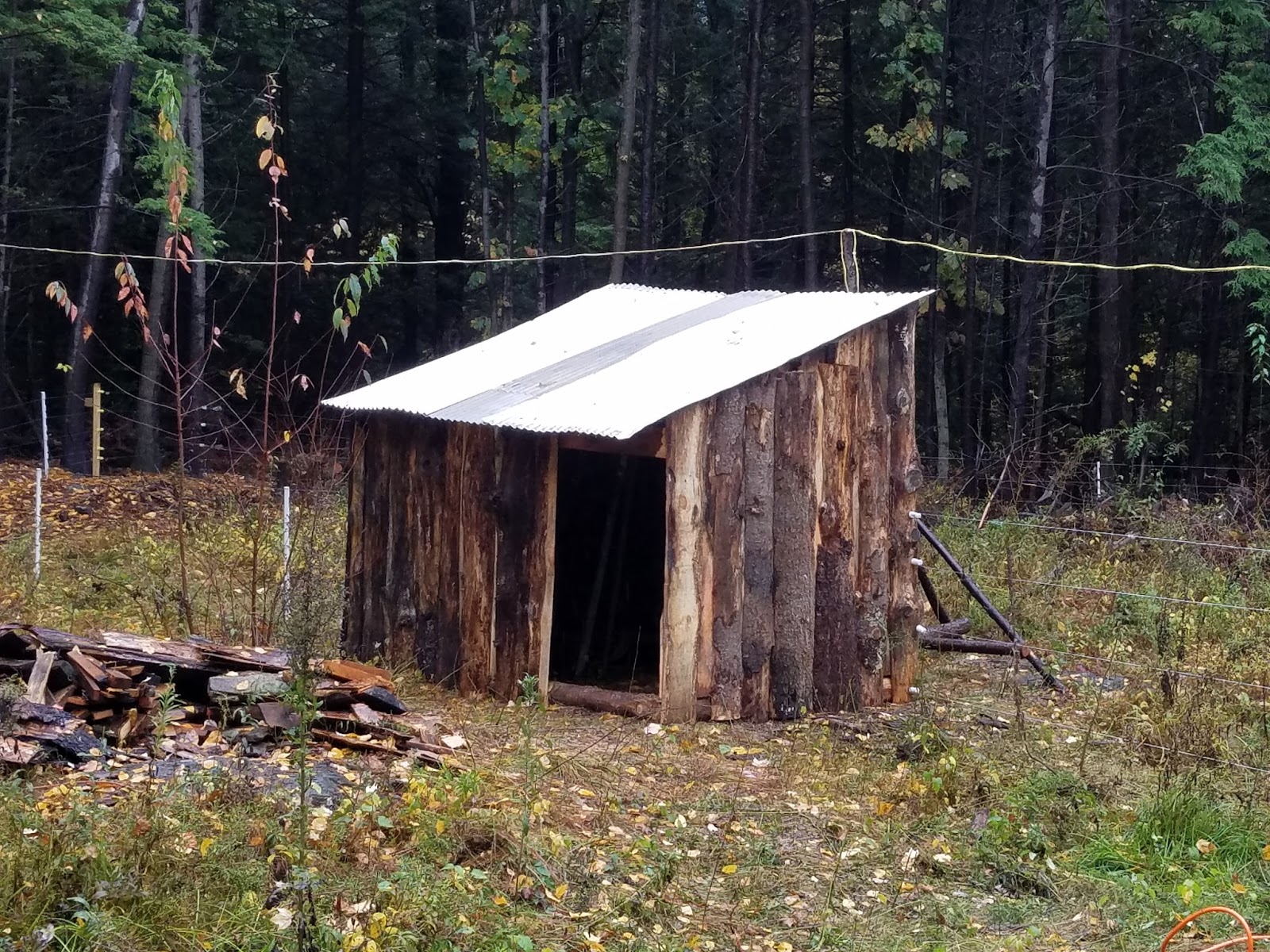 Linda Marcille, Fine Art ~ Crow House Studio: New Goat Hut For Upcoming ...