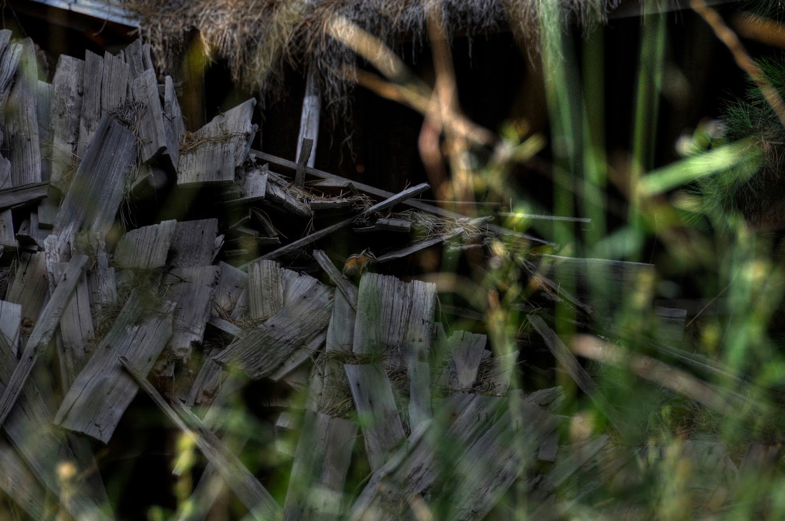 This Life in Ruins: Liberty Washington , Not a ghost Town