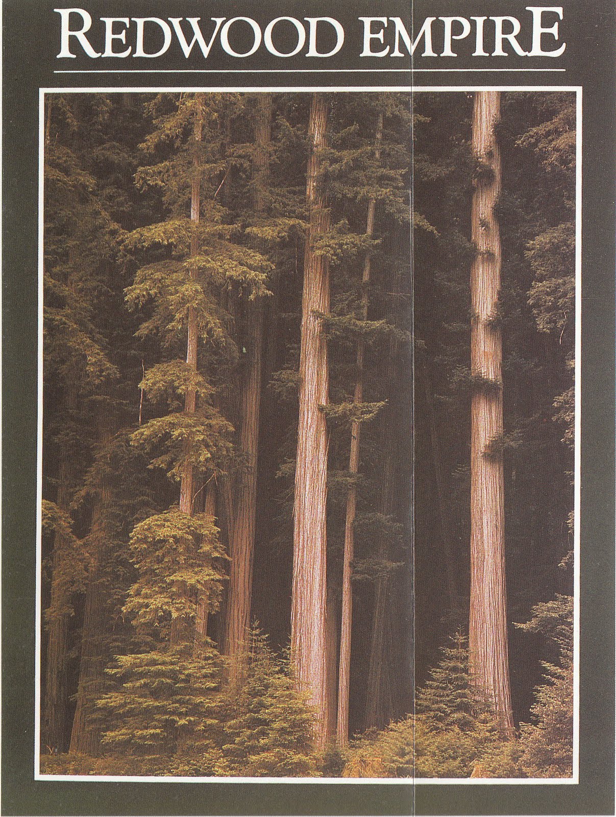 CALIFORNIA / WEST OF THE WEST: ADAM COLLINGS REDWOOD EMPIRE