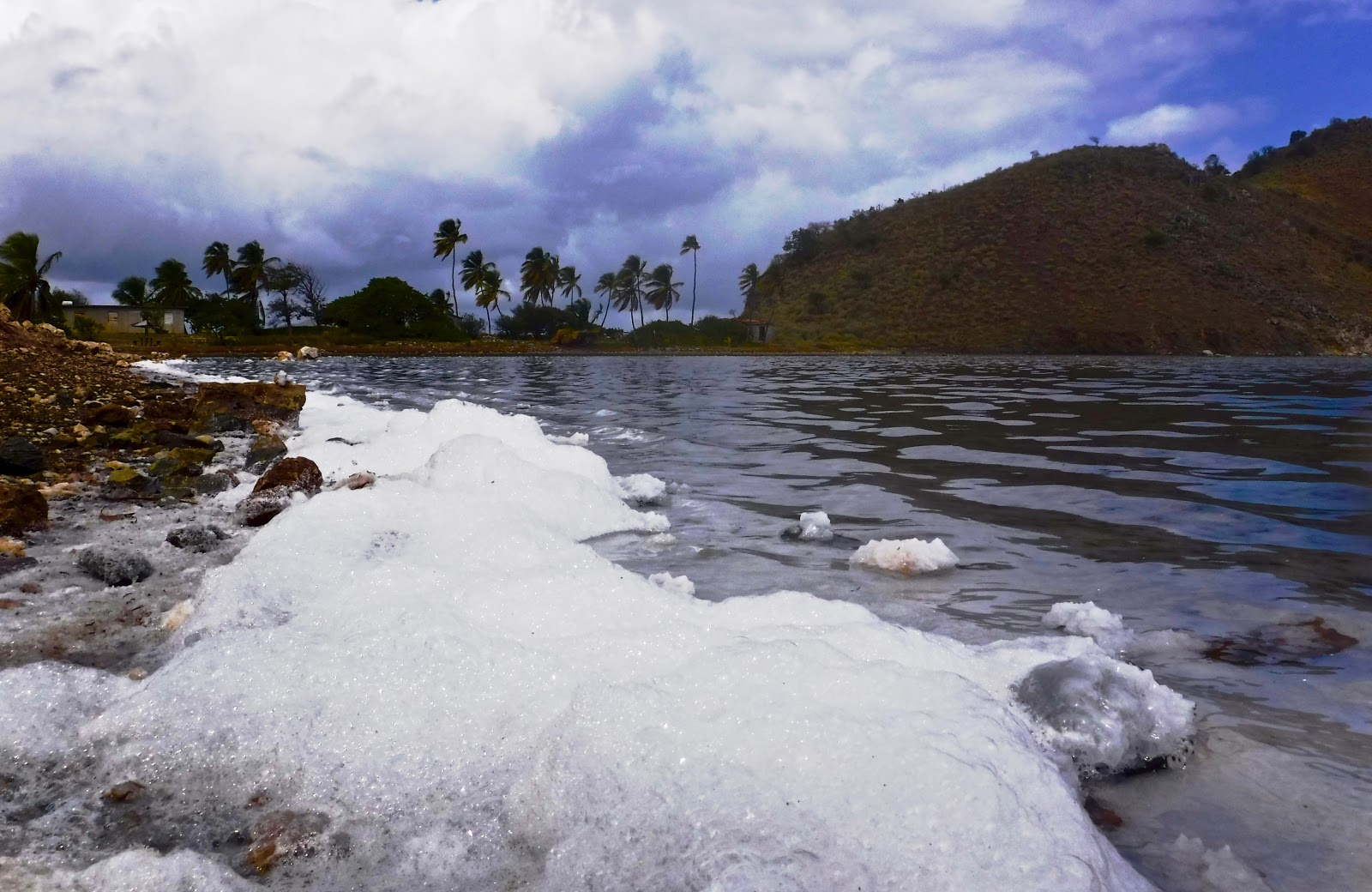 Things we did today...: Salt Island How I Love Thee