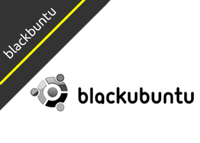 Top 5 Penetration Testing Linux Distribution