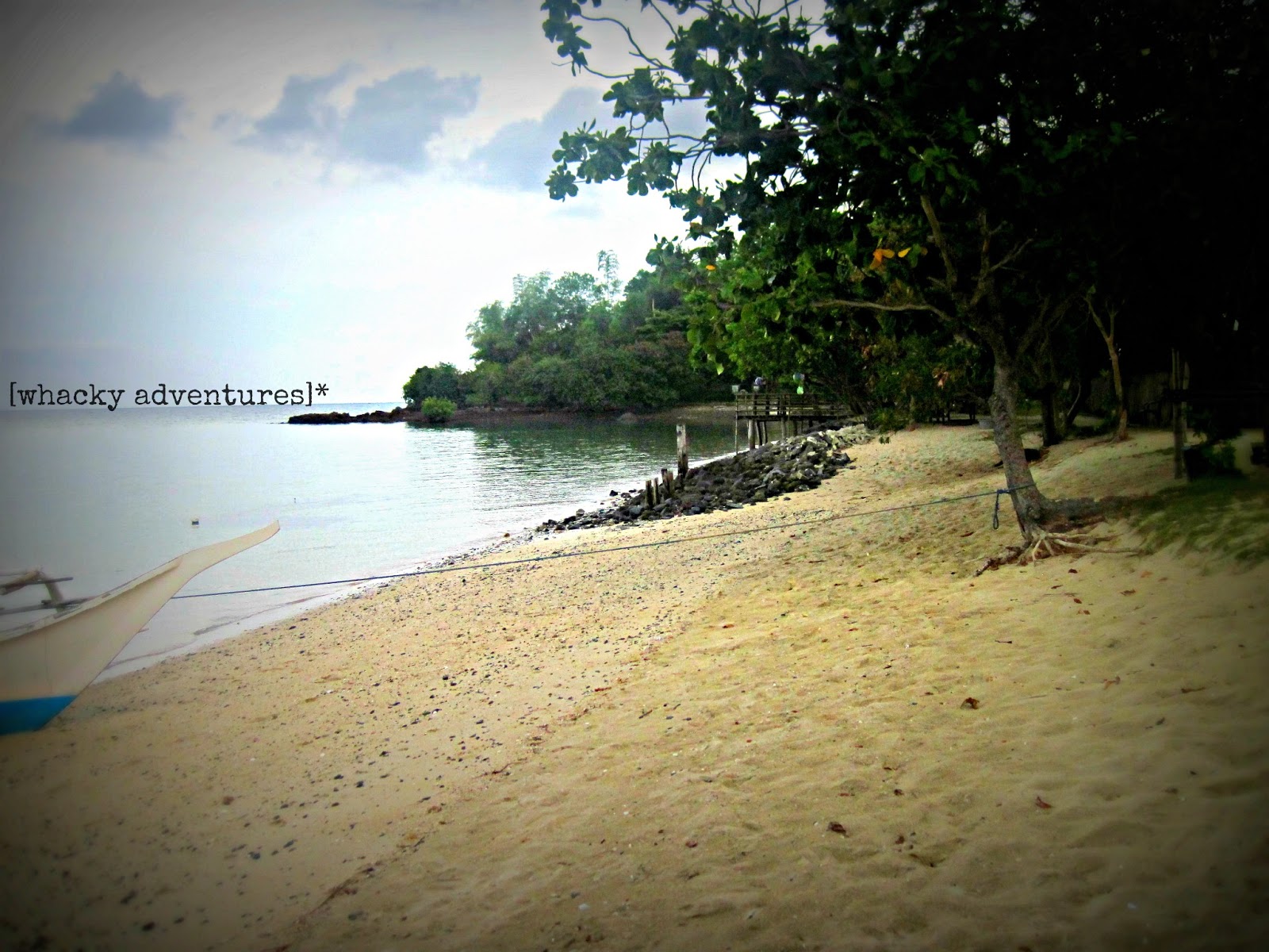 Whacky Adventures*: Sandbar Island Beach Resort, Concepcion, Iloilo ...