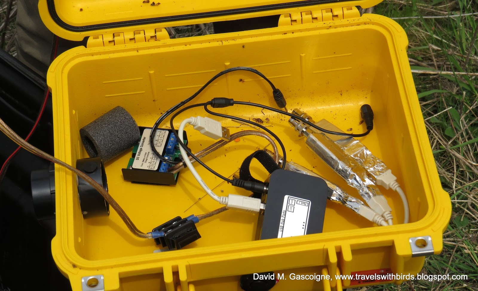 Travels With Birds: Installation of a MOTUS Tower at SpruceHaven