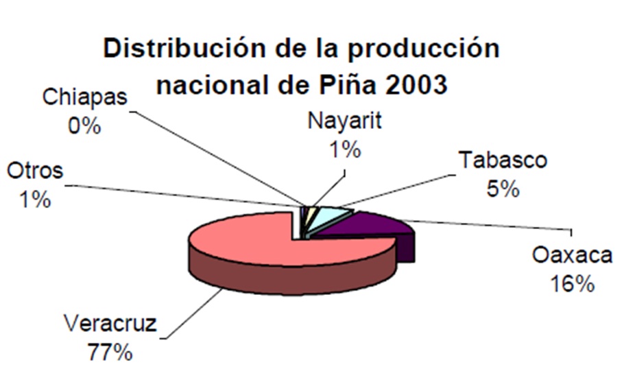 PROCESAMIENTO Y COMERCIALIZACIÓN DE PIÑA ENLATADA: ESTUDIO DE MERCADEO
