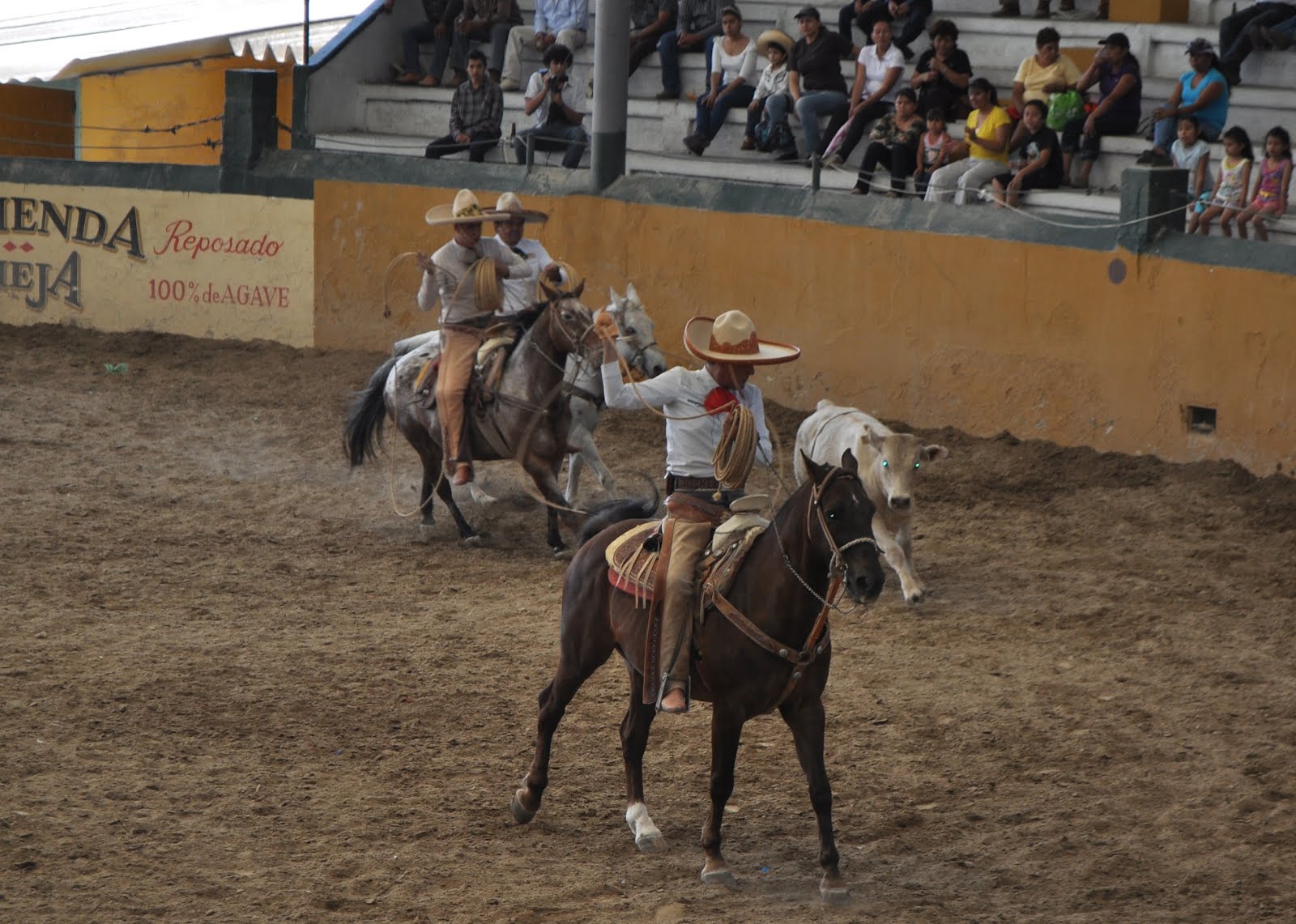 Adventures By Aaron: Charreada: The Mexican Rodeo