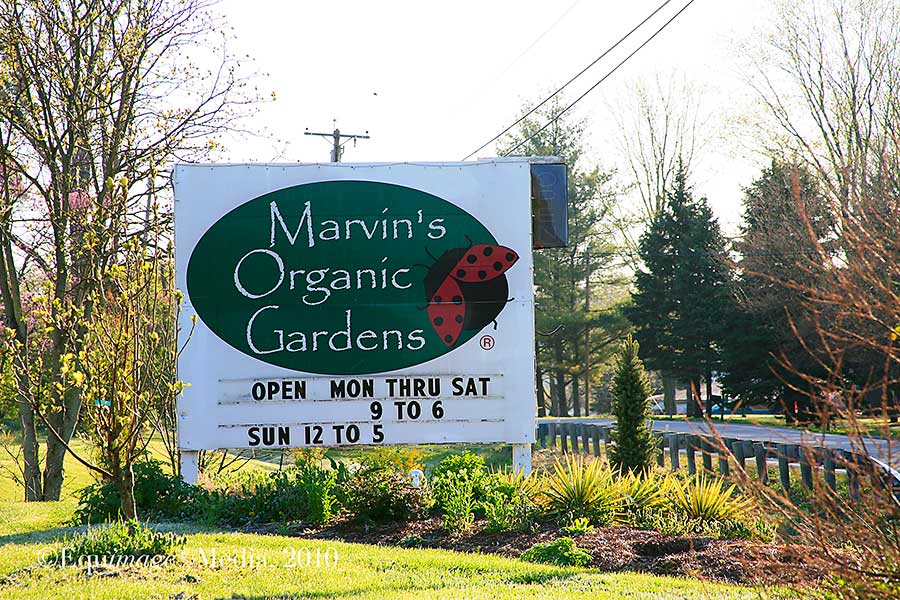 The No-Till Gardener: One Of My Favorite Places -- Marvin's Organic Gardens