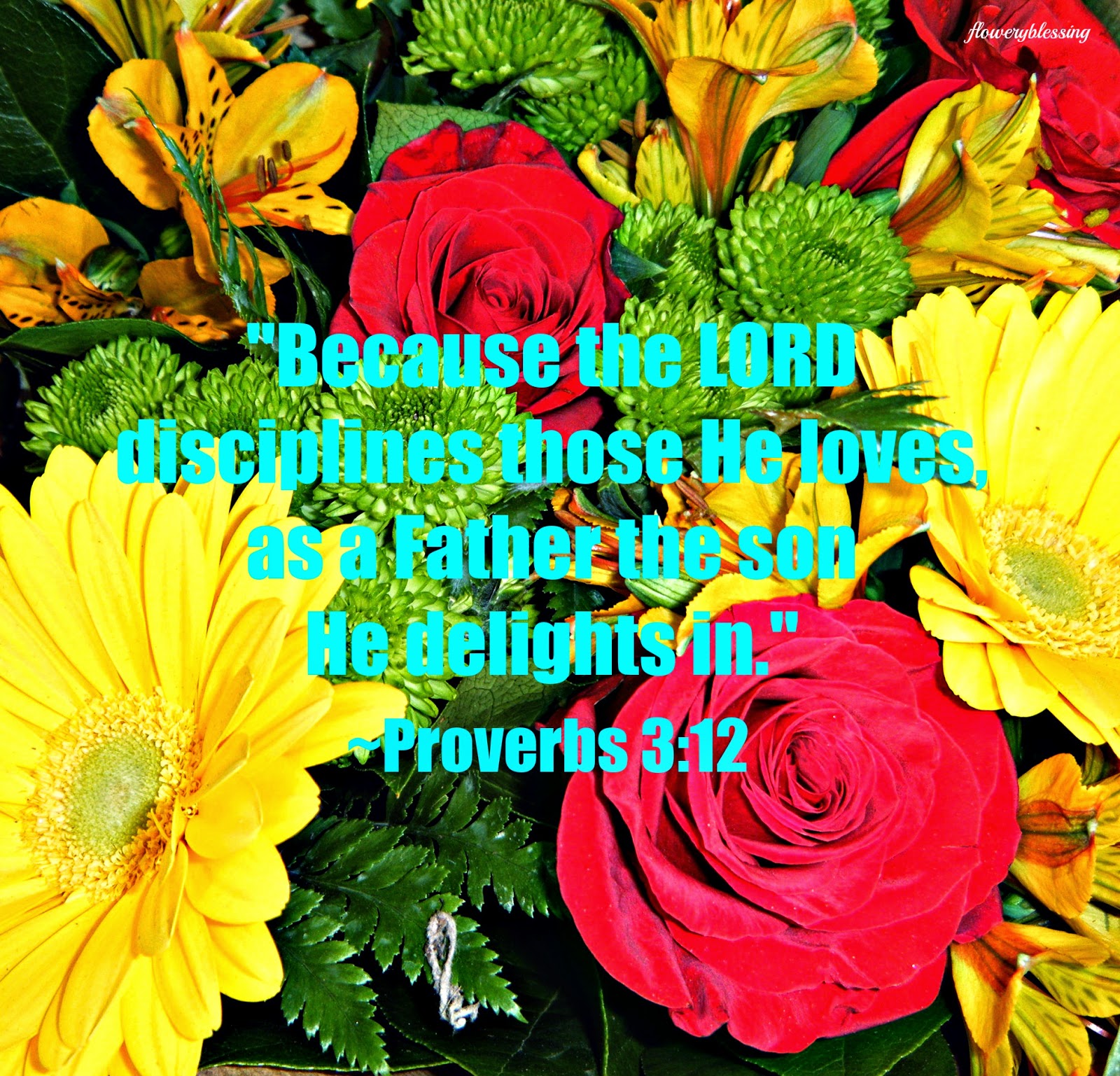 Flowery Blessing: "Because the LORD disciplines those He loves, as a ...
