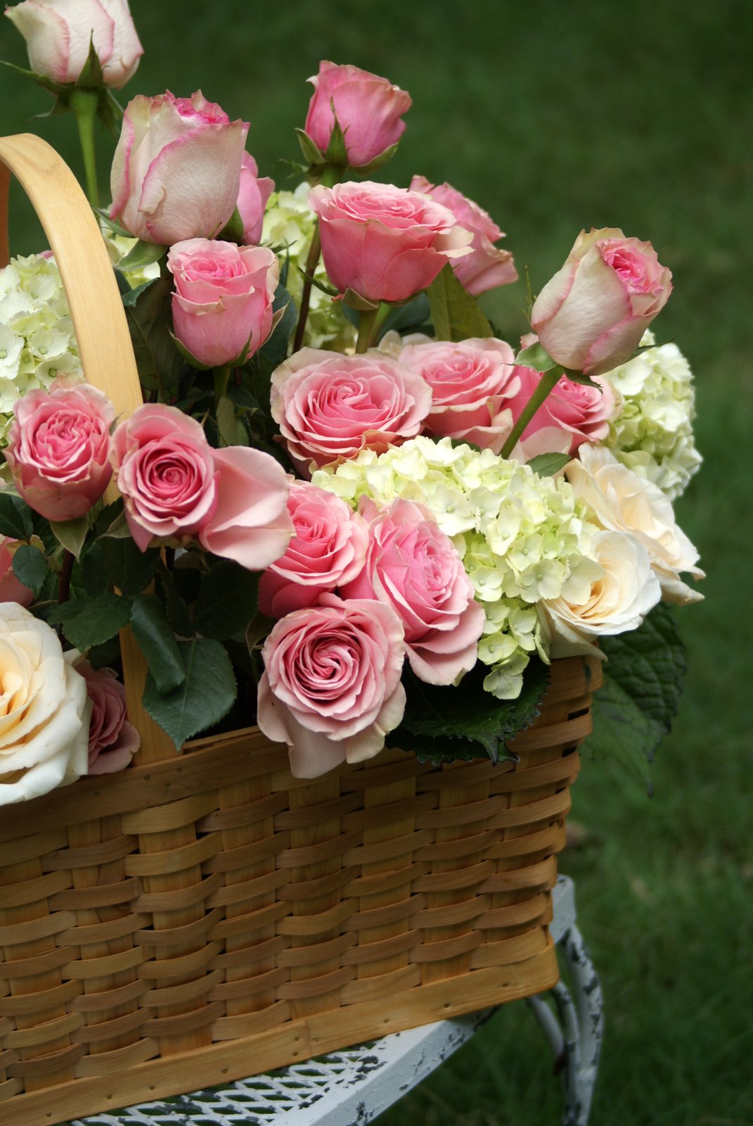 A Little Loveliness: Eighty Roses ...