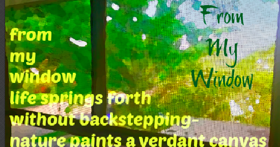 Beyond LiteracyLink: Window Poems