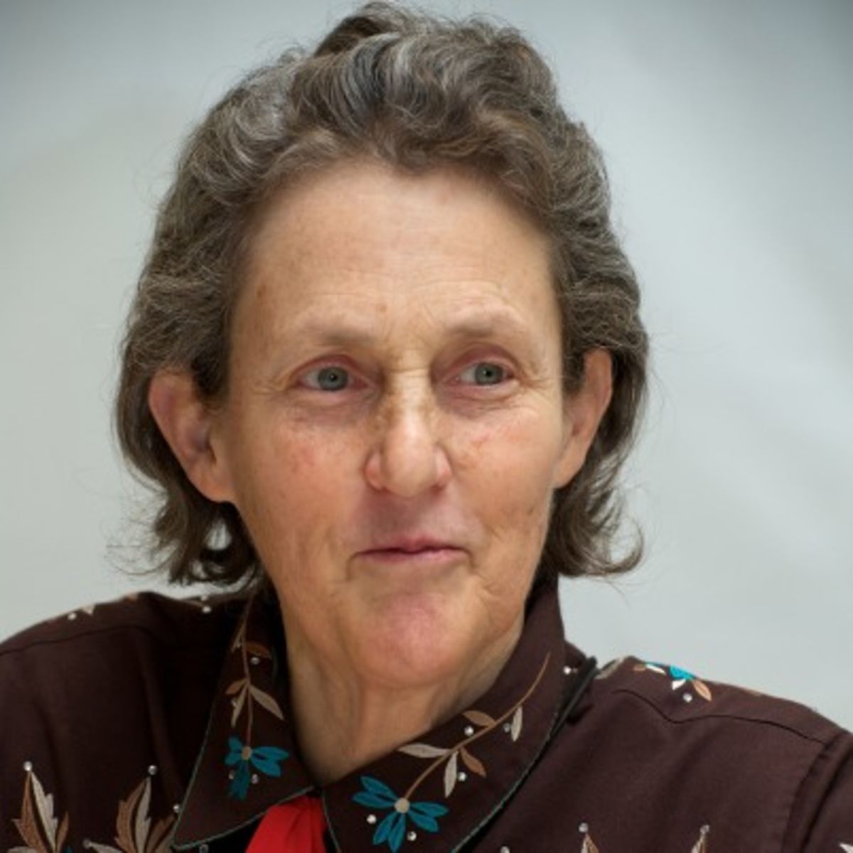 Joan Vendrell i Campmany (3): RECORDANDO A TEMPLE GRANDIN, UNA MUJER ...