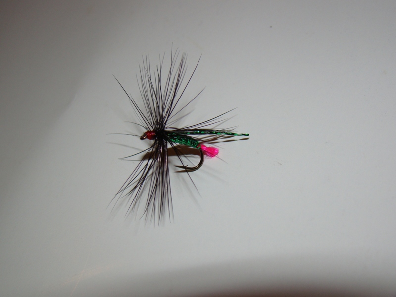 Pescuit cu musca artificiala: Taparina CLEAN