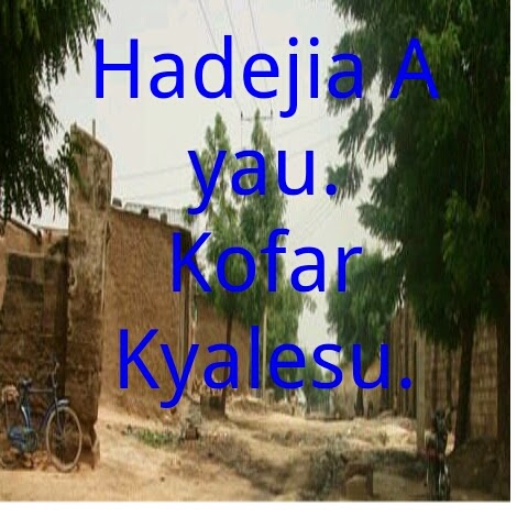 BY: SULEIMAN GINSAU HADEJIA A YAU! HADEJIA TOWN WALLS AND GATES ...