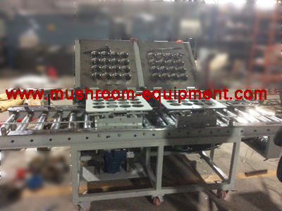 mushroom equipment,mushroom equipment,growing mushrooms indoors ...