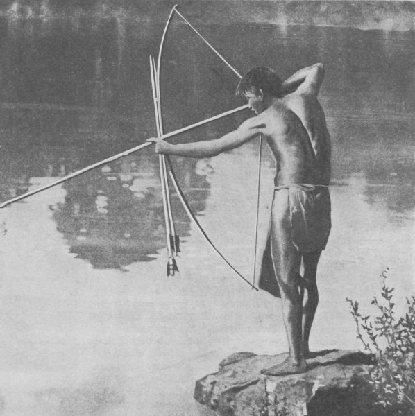 American Indian's History and Photographs: Native American Fishing