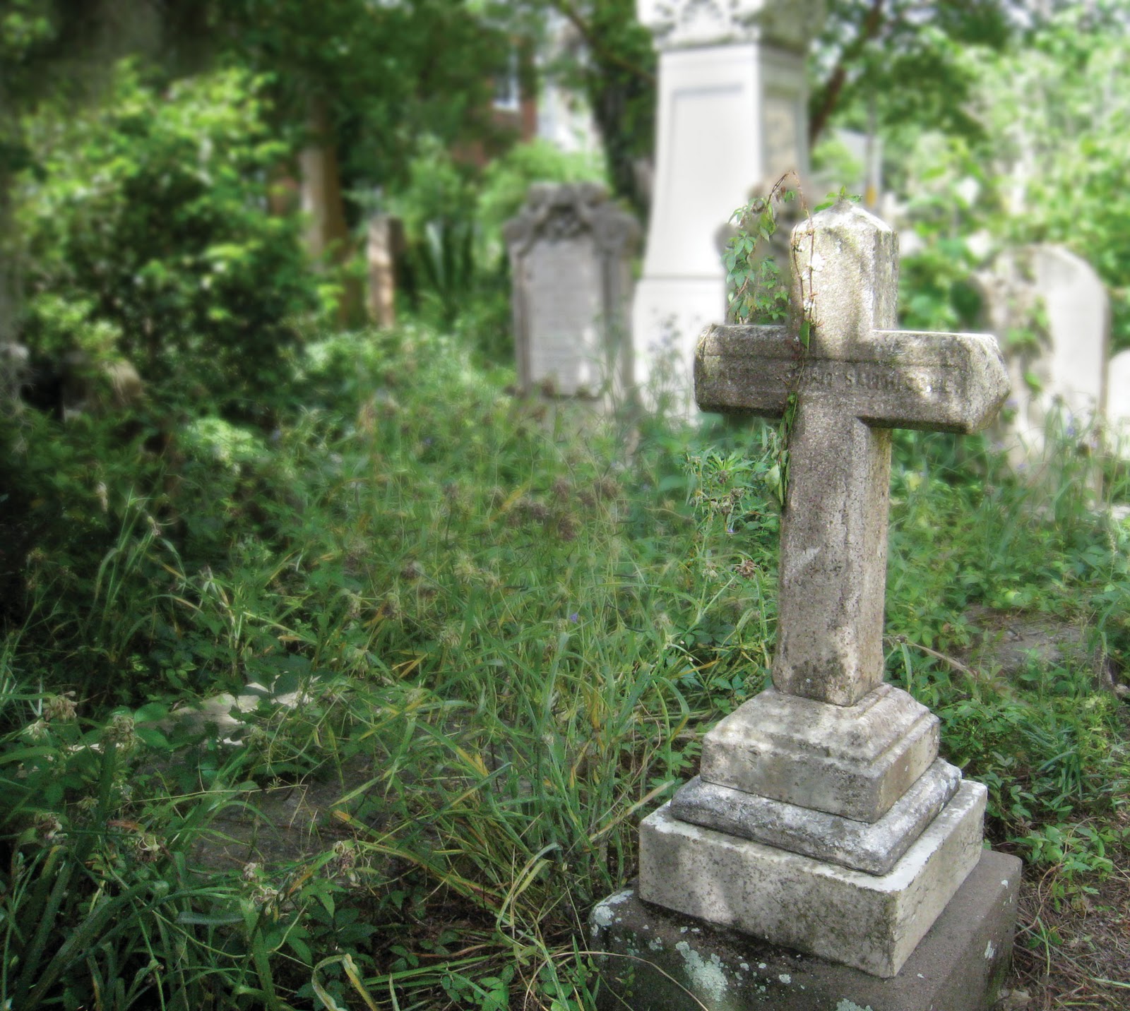 Tombstone Travels returns to Old Logan Cemetery for a Civil War tribute ...