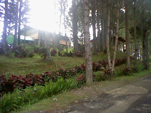 Hot Salad: Trip to Seagull Mountain Resort in BUDA