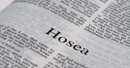 Bible Books Explained