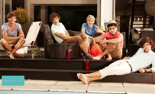 Catherine's blog: Team One Direction