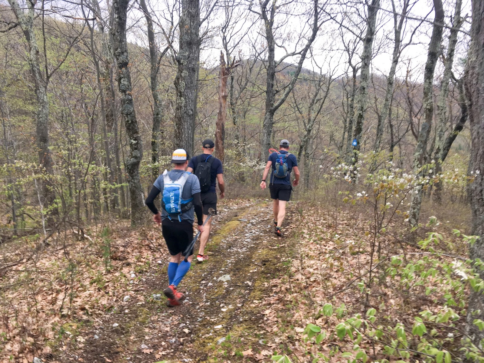 Northeast Adventures: Taconic Crest Trail Run