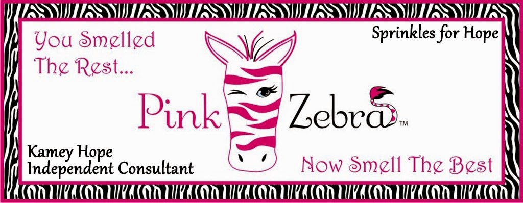 Kamey Hope Independent Consultant for Pink Zebra: Things you can use ...