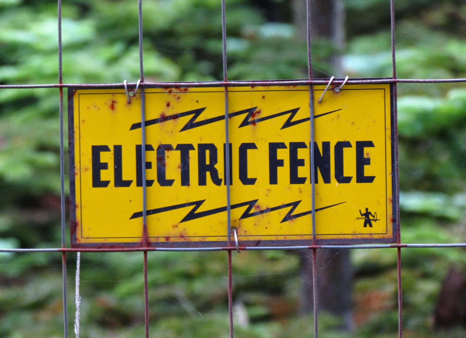 Scene Through My Eyes: Signs and Fences