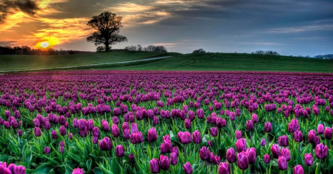 Family FECS: Things to Do in Denmark in April & May