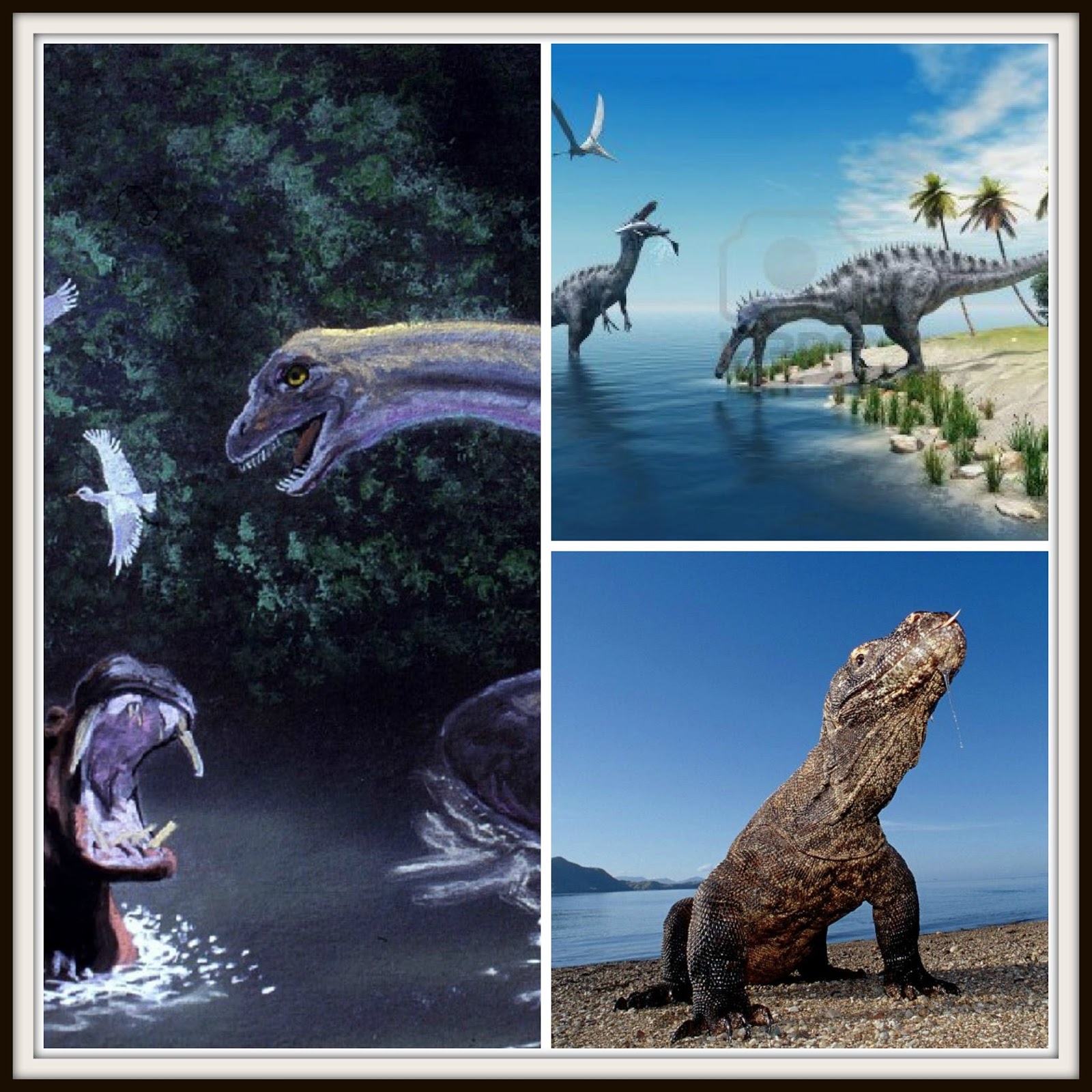 TOP 10 : LOS CRIPTIDOS MAS FAMOSOS | Lo mejor de lo mejor